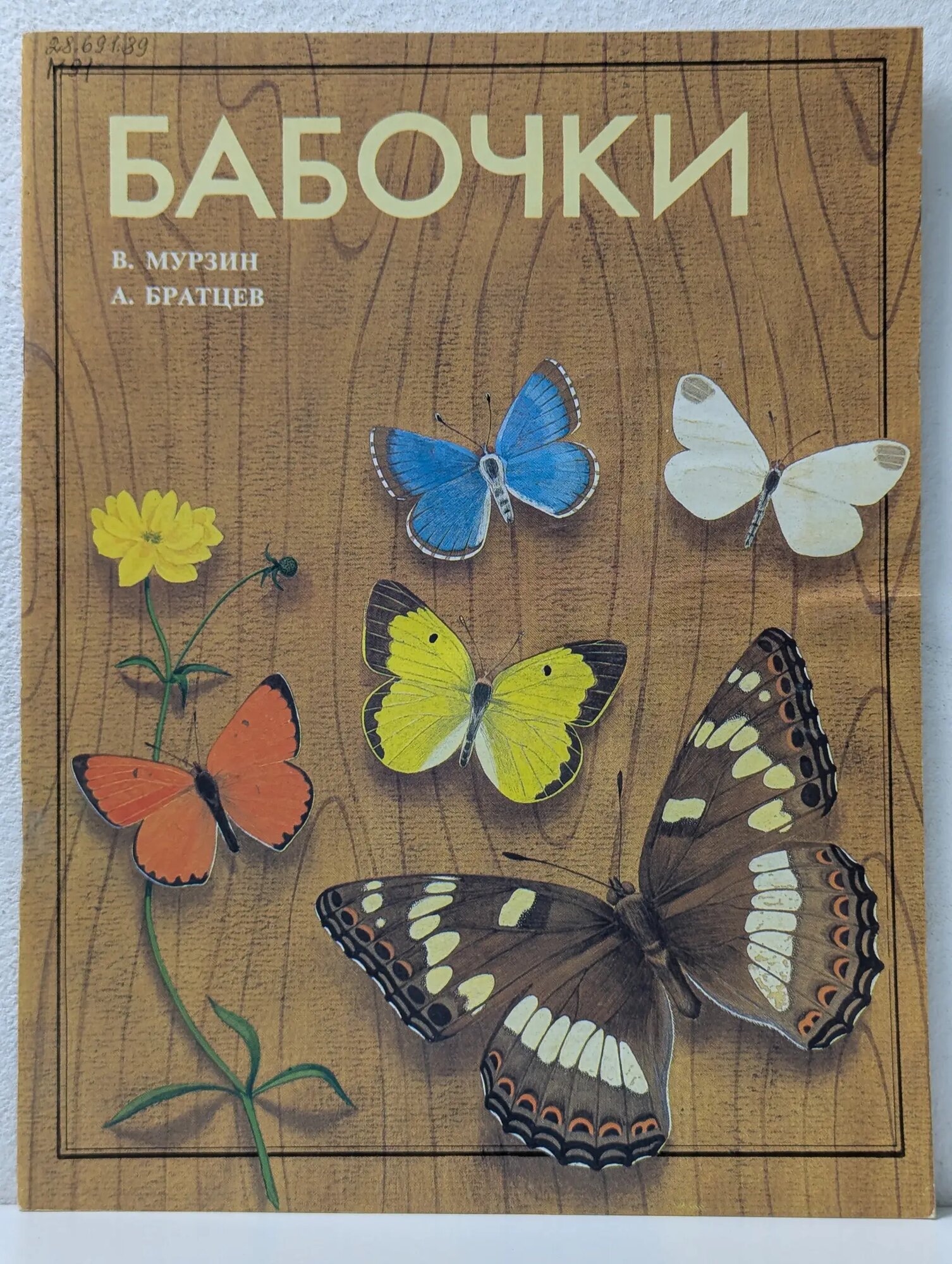 Музей чудес природы. Бабочки Мурзин Владимир Сергеевич 1993
