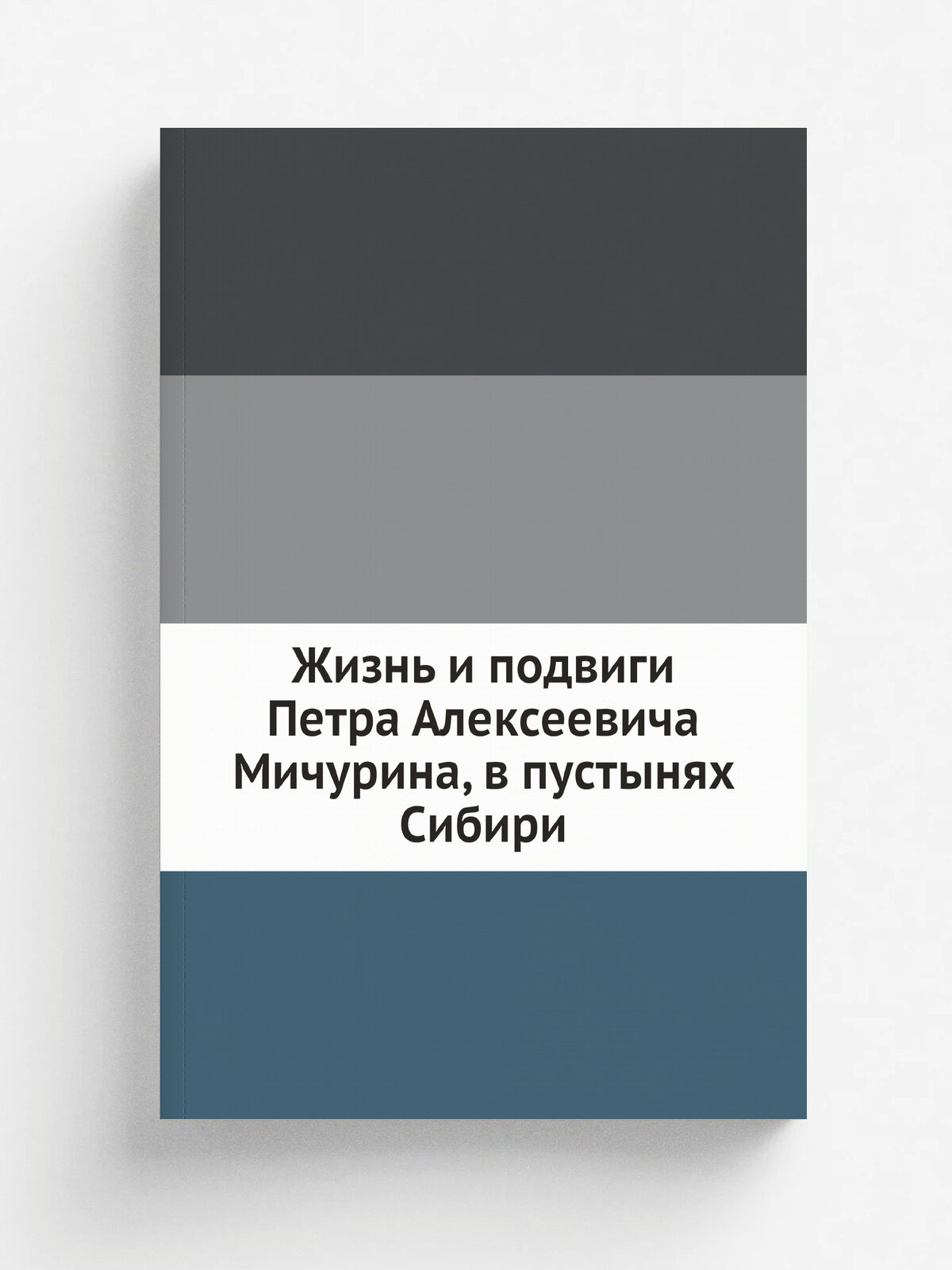 Жизнь и подвиги Петра Алексеевича Мичурина, в пустынях Сибири