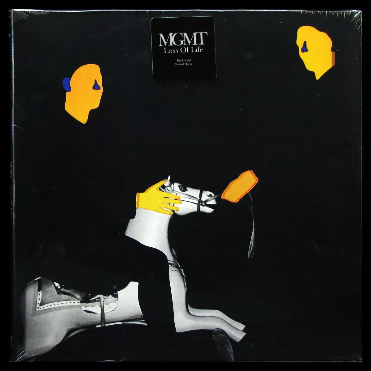 MGMT - Loss Of Life