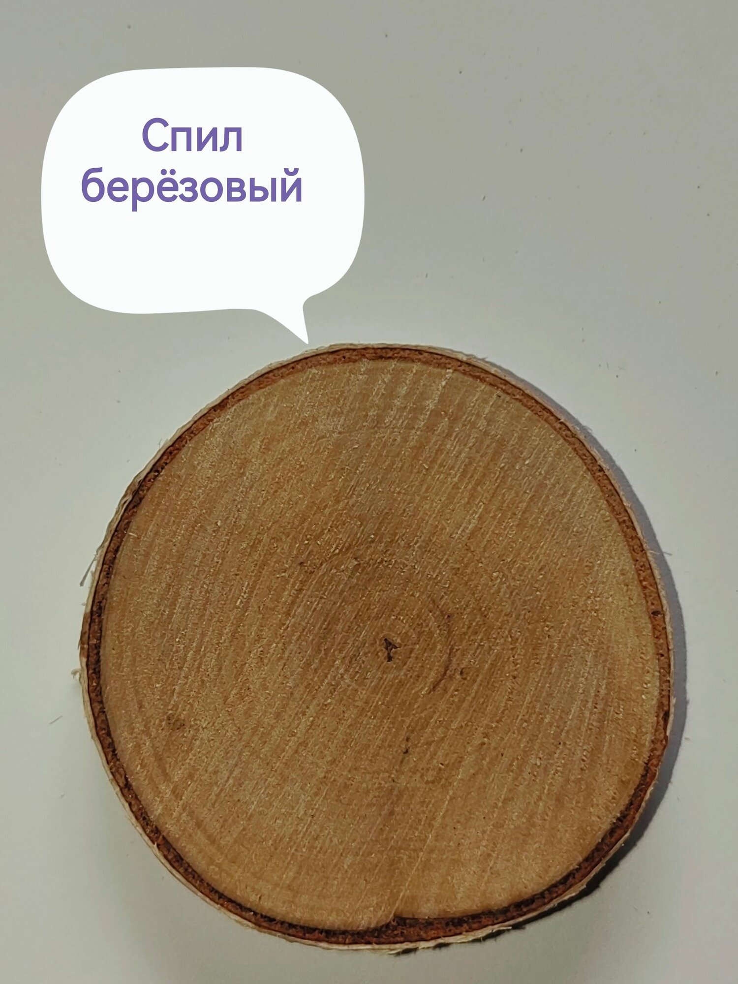 Спил берёзовый — фото 1