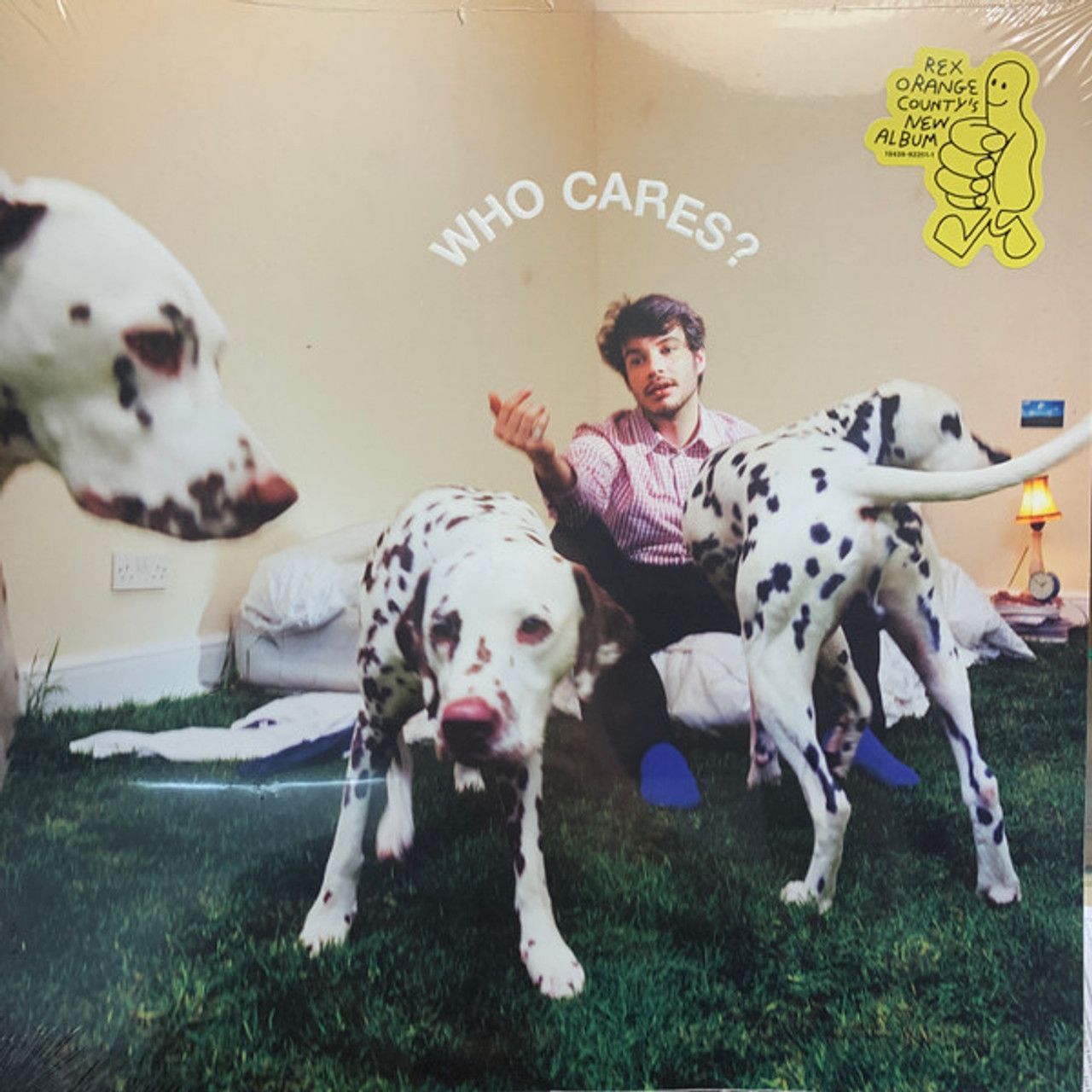 Виниловая пластинка Rex Orange County Who Cares? (Embossed Cover Edition)