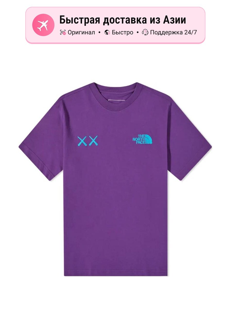 Футболка The North Face Kaws X