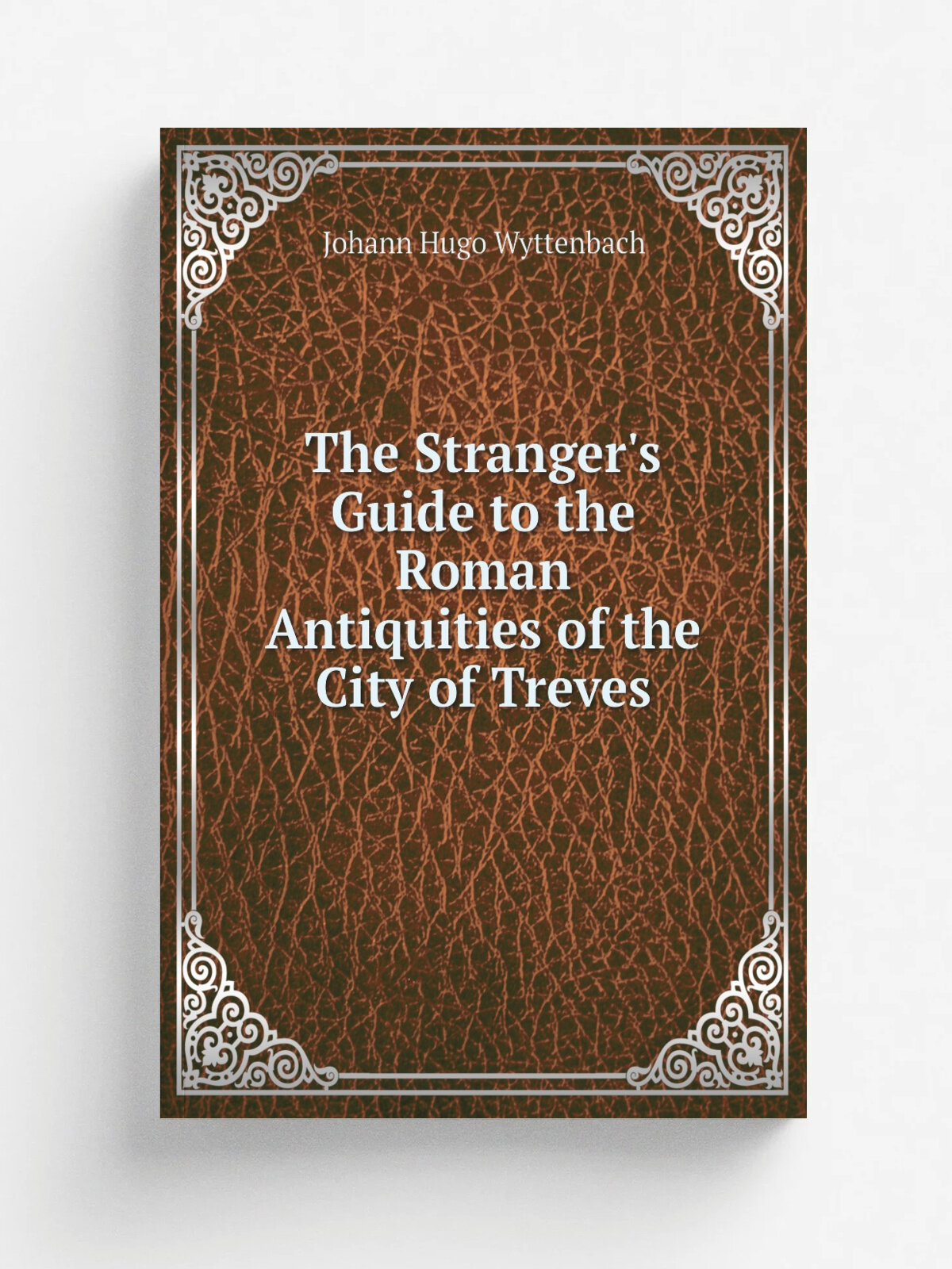 The Stranger's Guide to the Roman Antiquities of the City of Treves