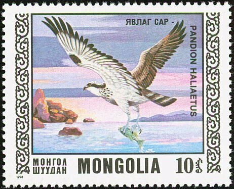 (1976-024) Марка Монголия "Скопа" Охраняемые виды хищных птиц III O