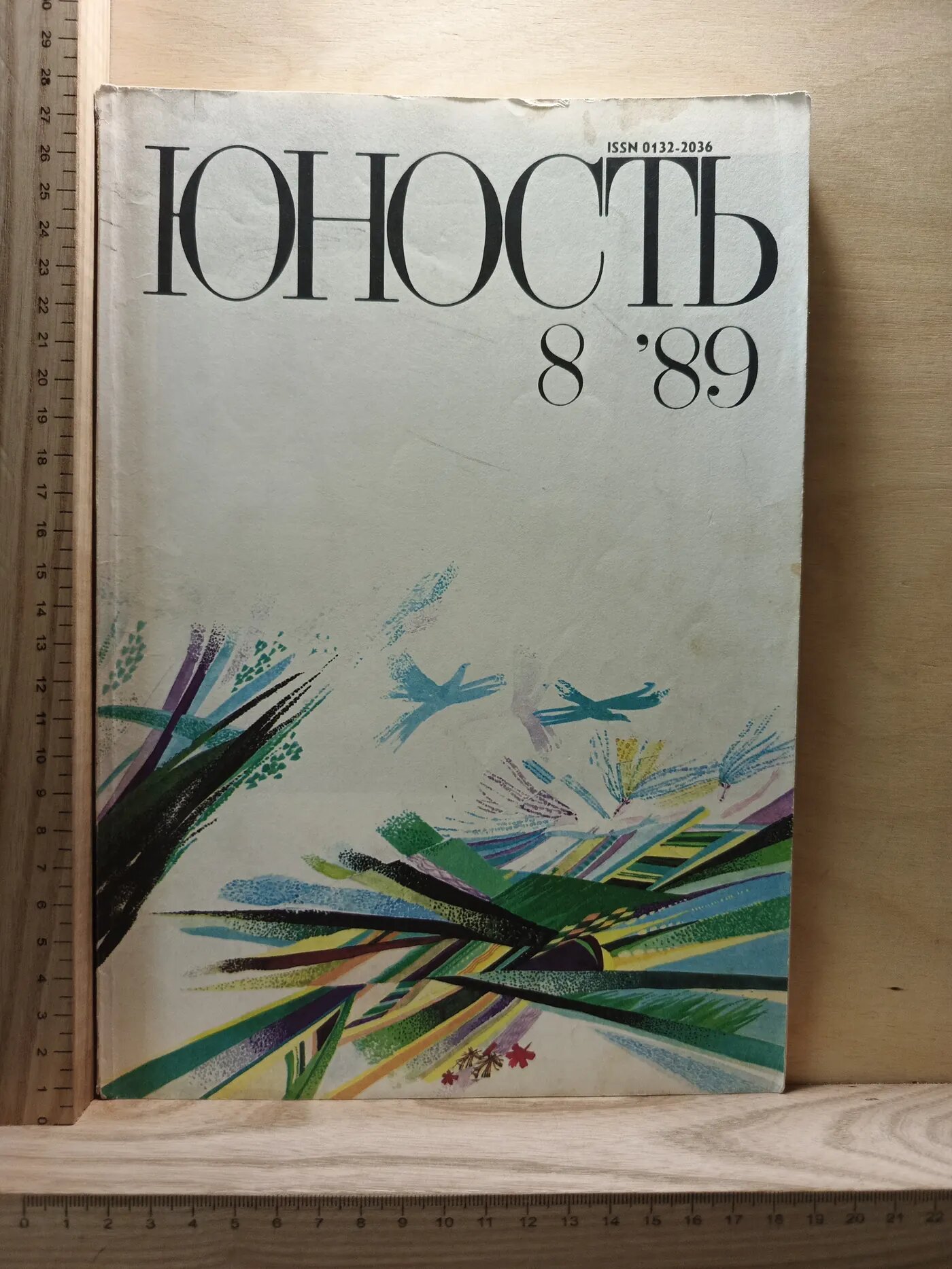 Журнал: Юность № 8/1989