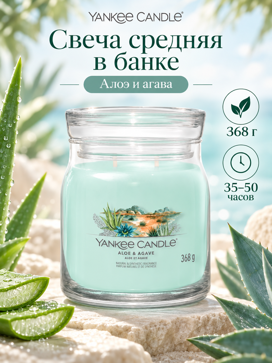 Yankee Candle / Свеча средняя в банке Алоэ и агава 368 гр / 35-50 часов