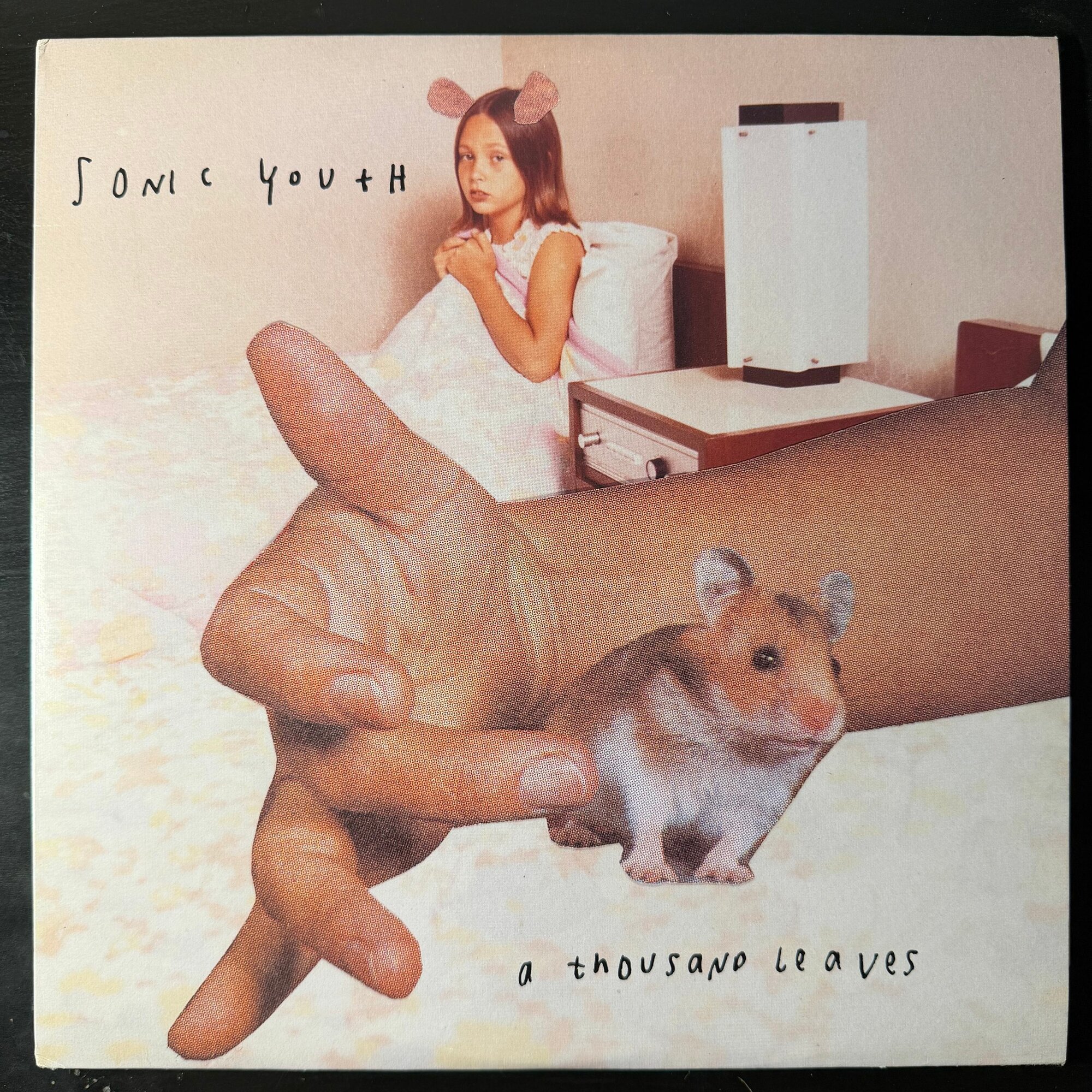 Виниловая пластинка Sonic Youth A Thousand Leaves (США 1998г.)