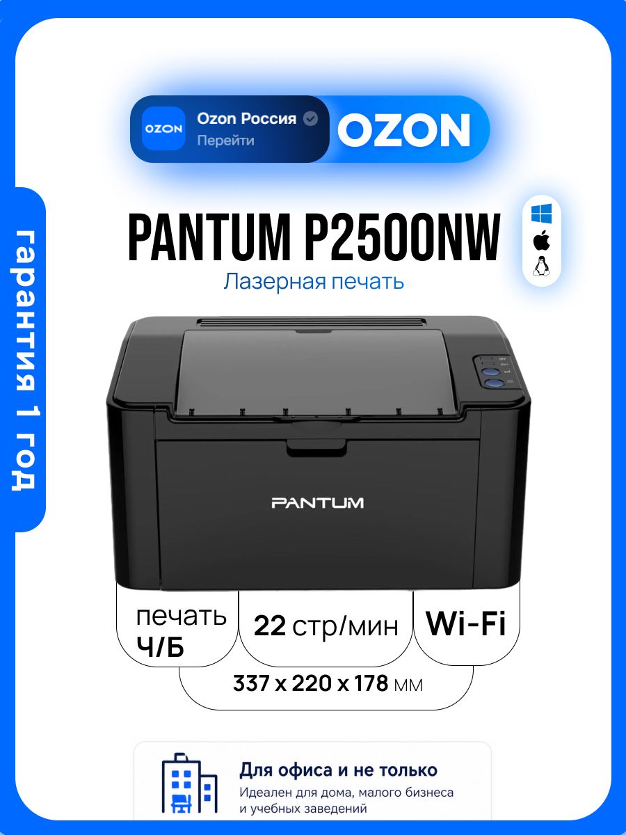 Pantum P2500NW Принтер лазерный черно-белый, Wi-Fi, черный
