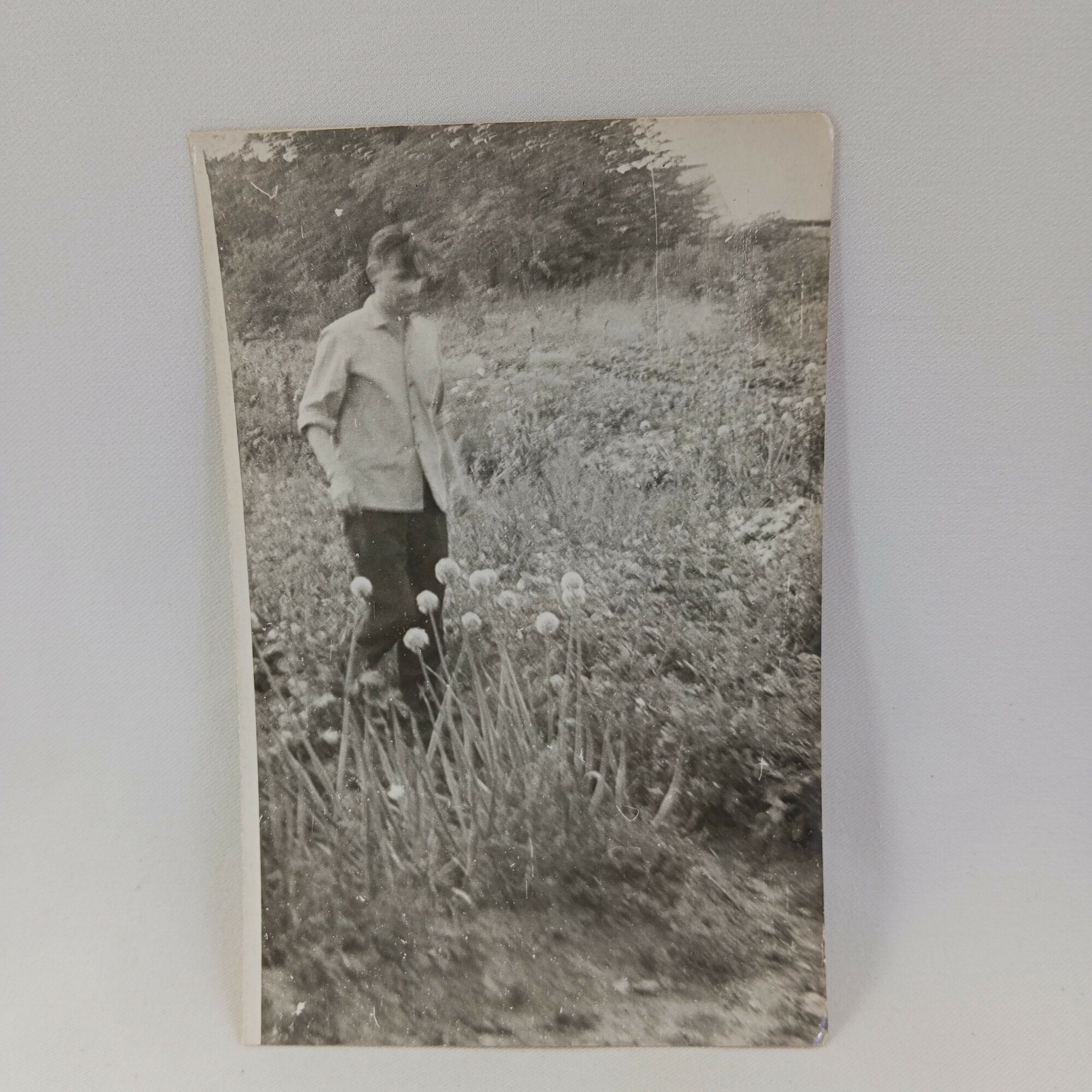 Фотография бумажная винтажная, СССР. Портрет девушки на природе, черно белый снимок