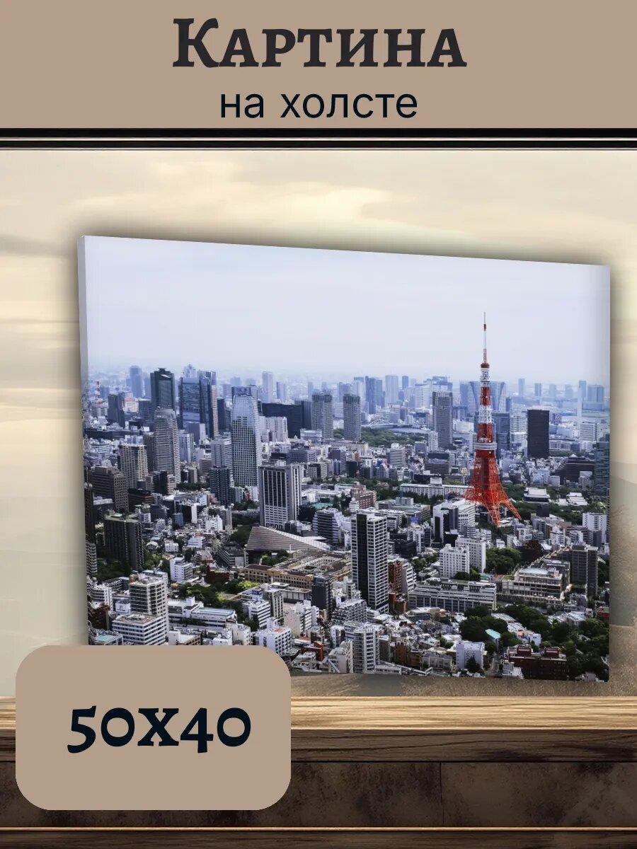 Картина Япония Japan 40x50 панорама Токио с башней