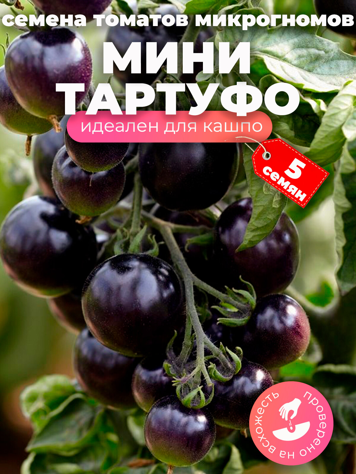 Семена томата Мини Тартуфо для кашпо, теплиц и открытого грунта
