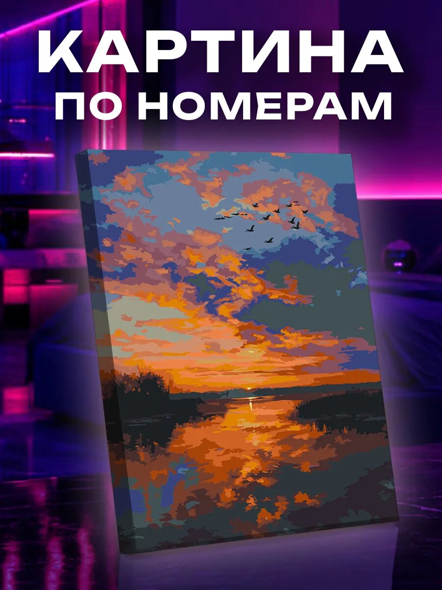Картина по номерам Гуси