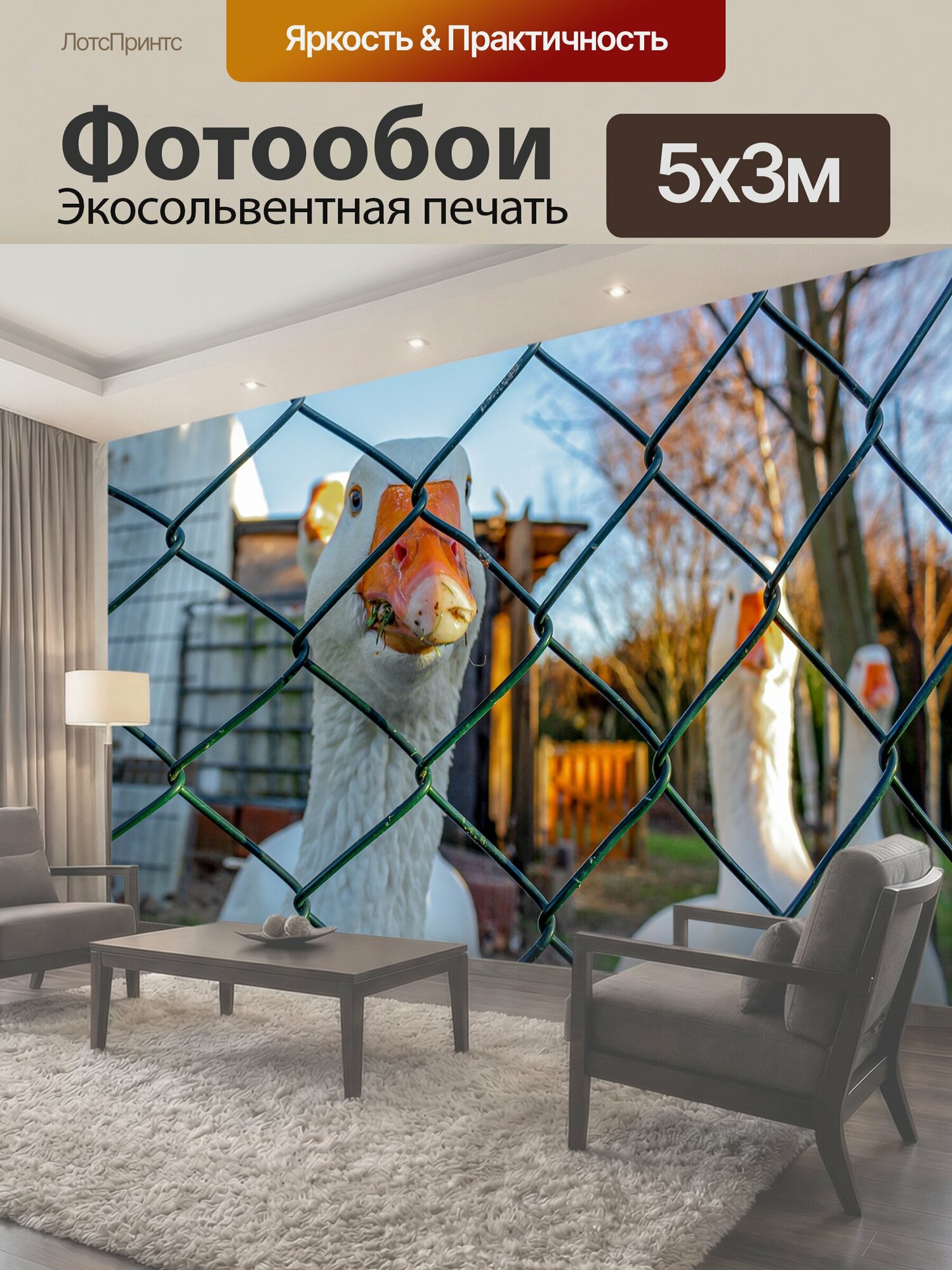 Фотообои "Гуси, животное, птицы" 500x300 см. экосольвентная печать