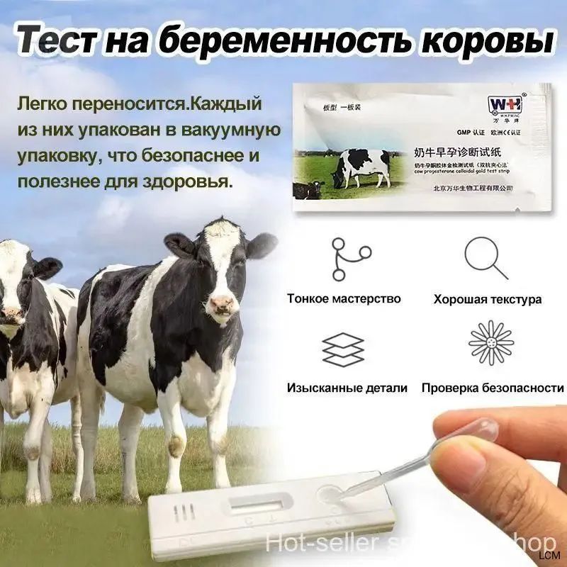 Тест на беременност