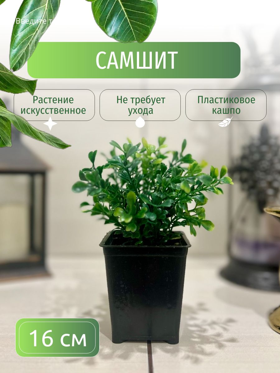 Искусственная трава самшит в кашпо