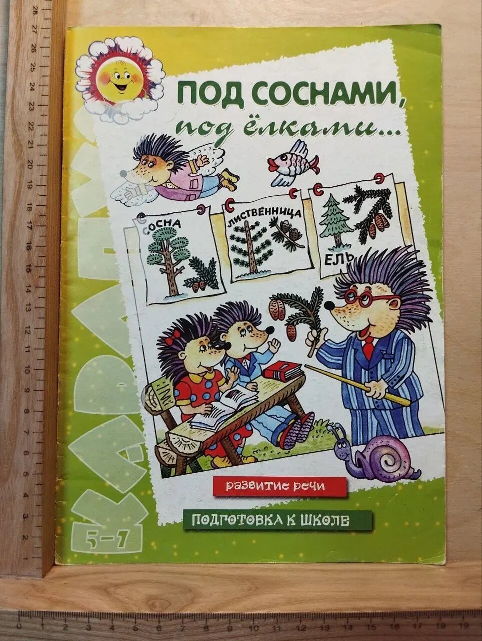 Под соснами, под ёлками. Развитие речи. Подготовка к школе