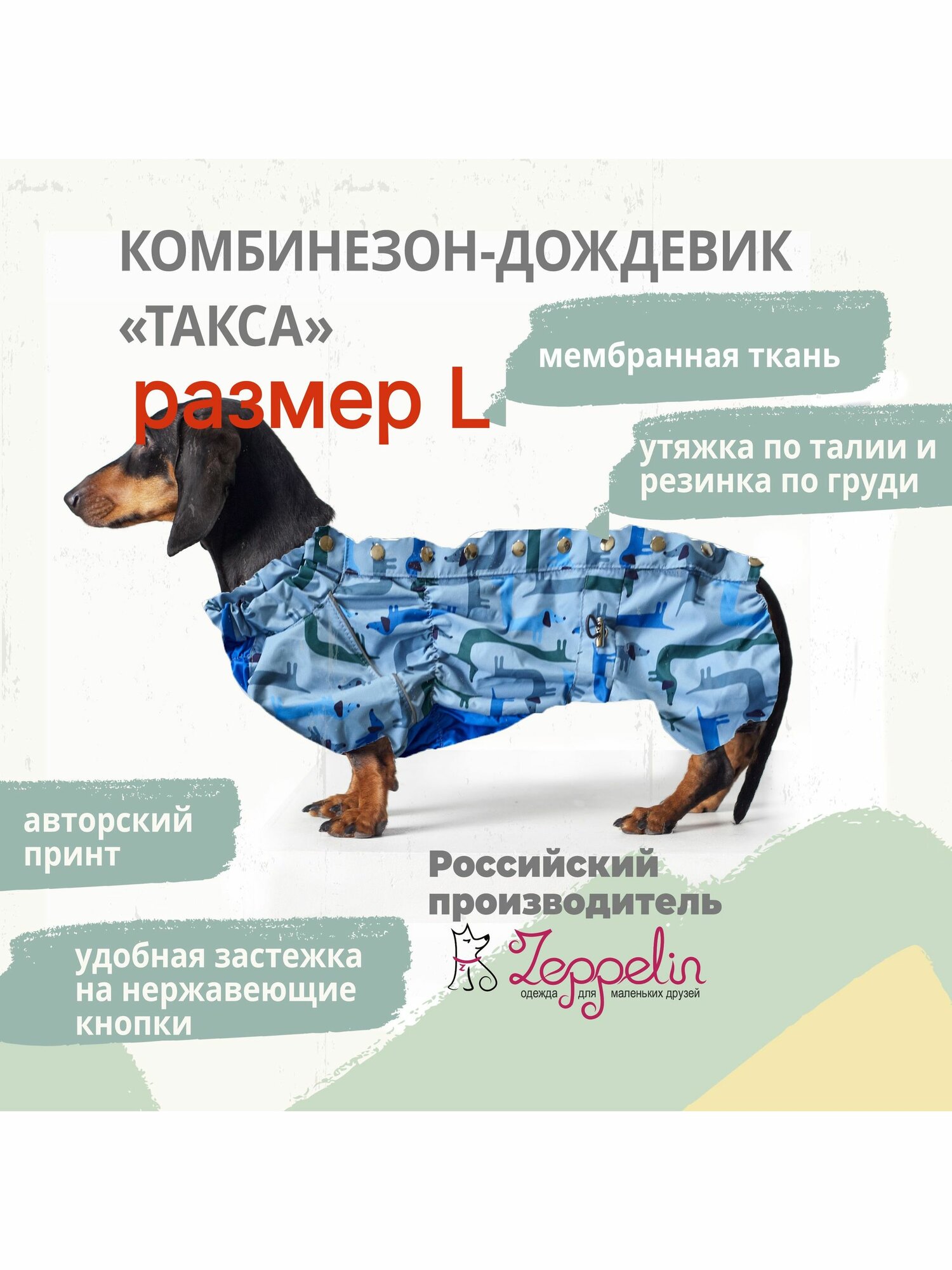 Комбинезон-дождевик на Таксу из мембранной ткани (для мальчика)