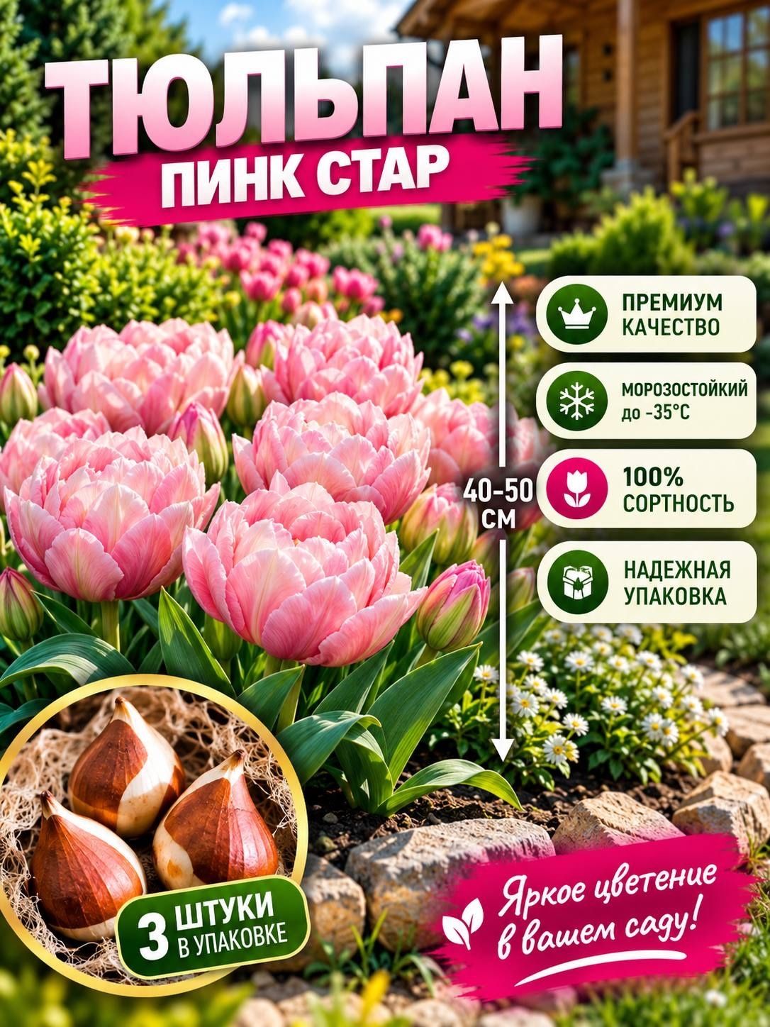 Луковицы тюльпана "Пинк Стар" 3шт.