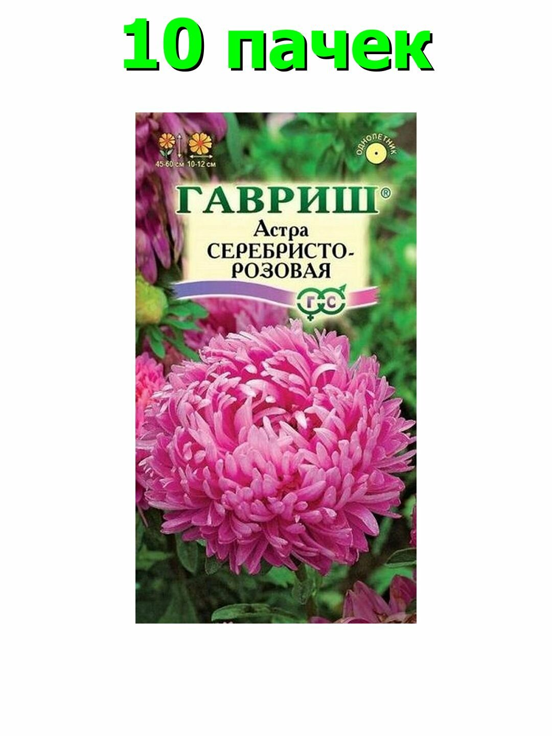 Семена Астра Серебристо-розовая, розовидная, однолетник, Гавриш, 1 пачка - 0.3г семян
