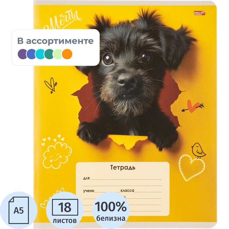Тетрадь клетка 18л. Обаятельные пёсики обл.-мелов. картон, ассорти 18-4310