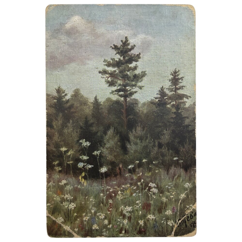 Почтовая открытка "Коптева - К вечеру" 1900-1914 гг. Ришар, Российская Империя