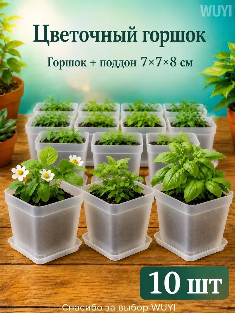 Стильные горшочки Вазон 0.25 л, 8 см, 10 шт, цвет прозрачный