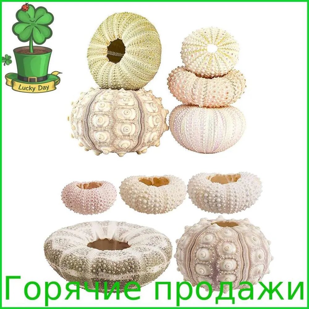2 комплекта украшений из ракушек, по 10 шт. в каждом
