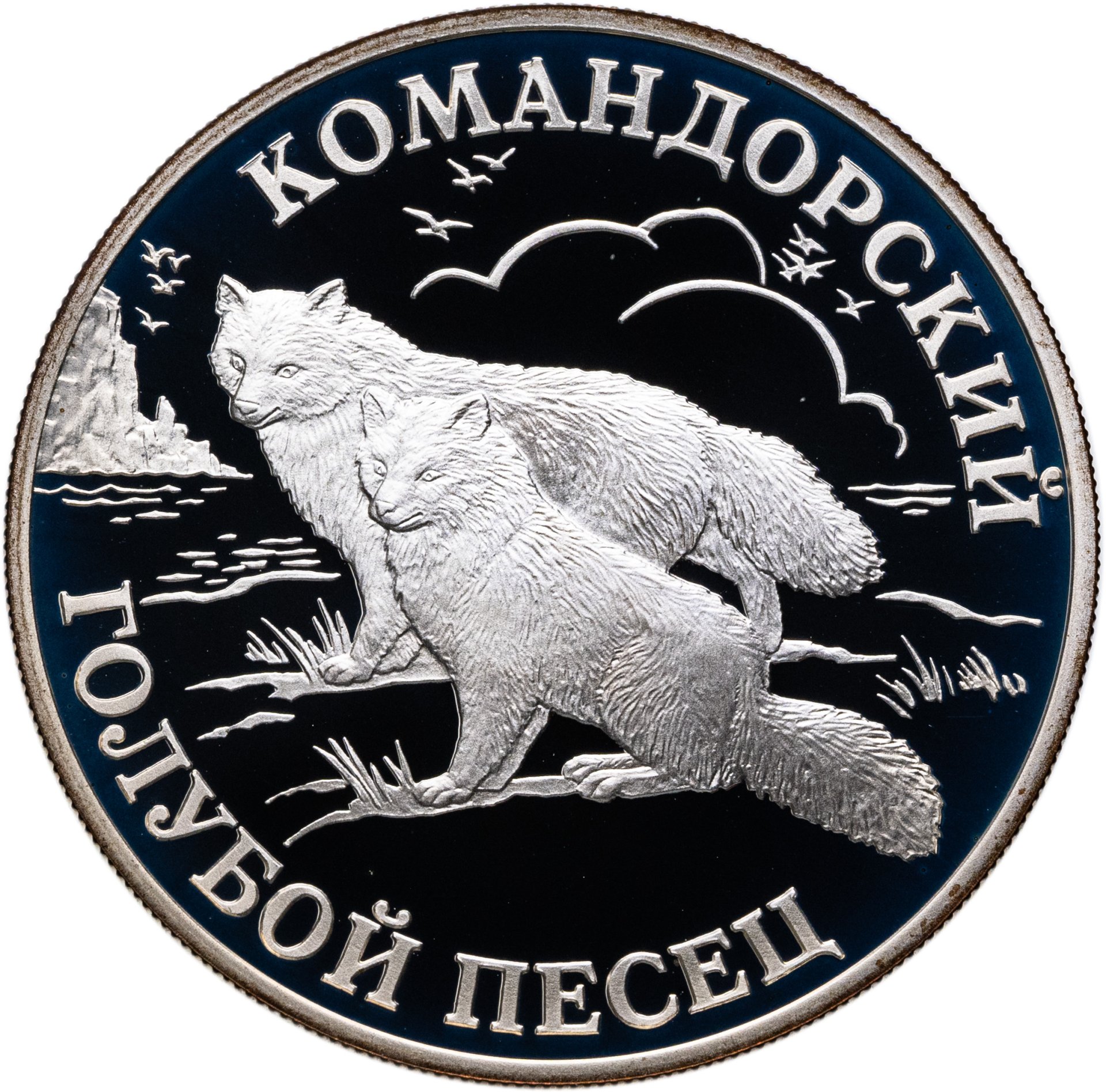 1 рубль 2003 СПМД Proof "Красная книга - командорский голубой песец", Серебро 925