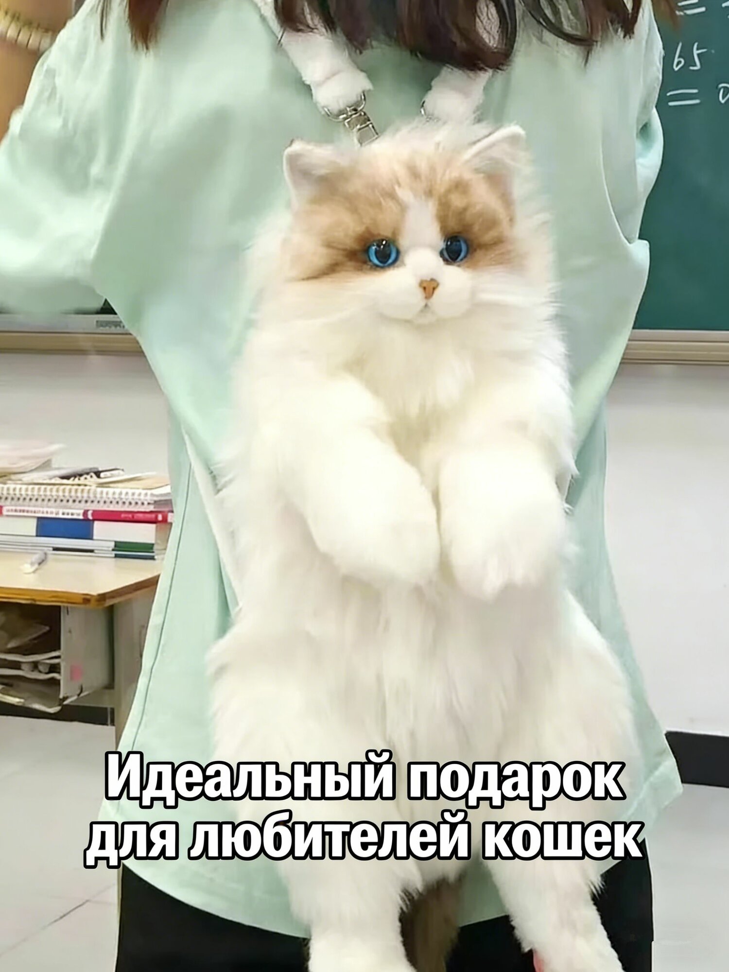 Реалистичная мягкая игрушка рэгдолл, Кукольный кот, Персидская кошка, рюкзак для куклы, сумка