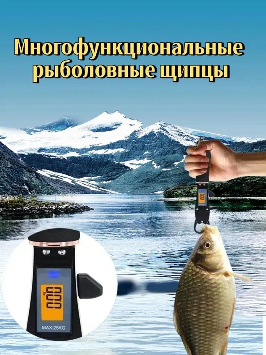 Захват для рыбы с электронными весами и утяжелением, черный матовый, 305