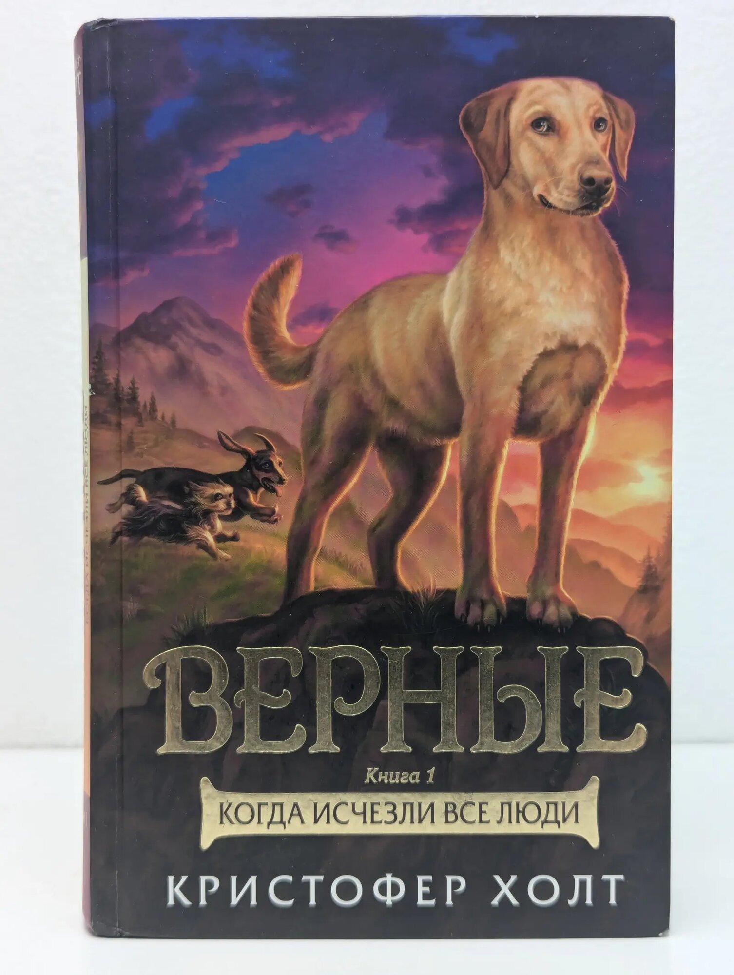 Верные. Книга 1. Когда исчезли все люди Холт Кристофер 2020