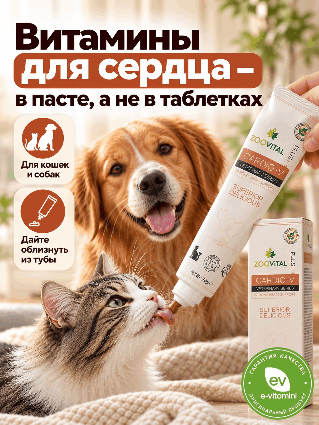 Кормовая добавка Zoovital Cardio V для кошек и собак, для поддержки сердца с таурином, L-карнитином и Q10, паста 100 г