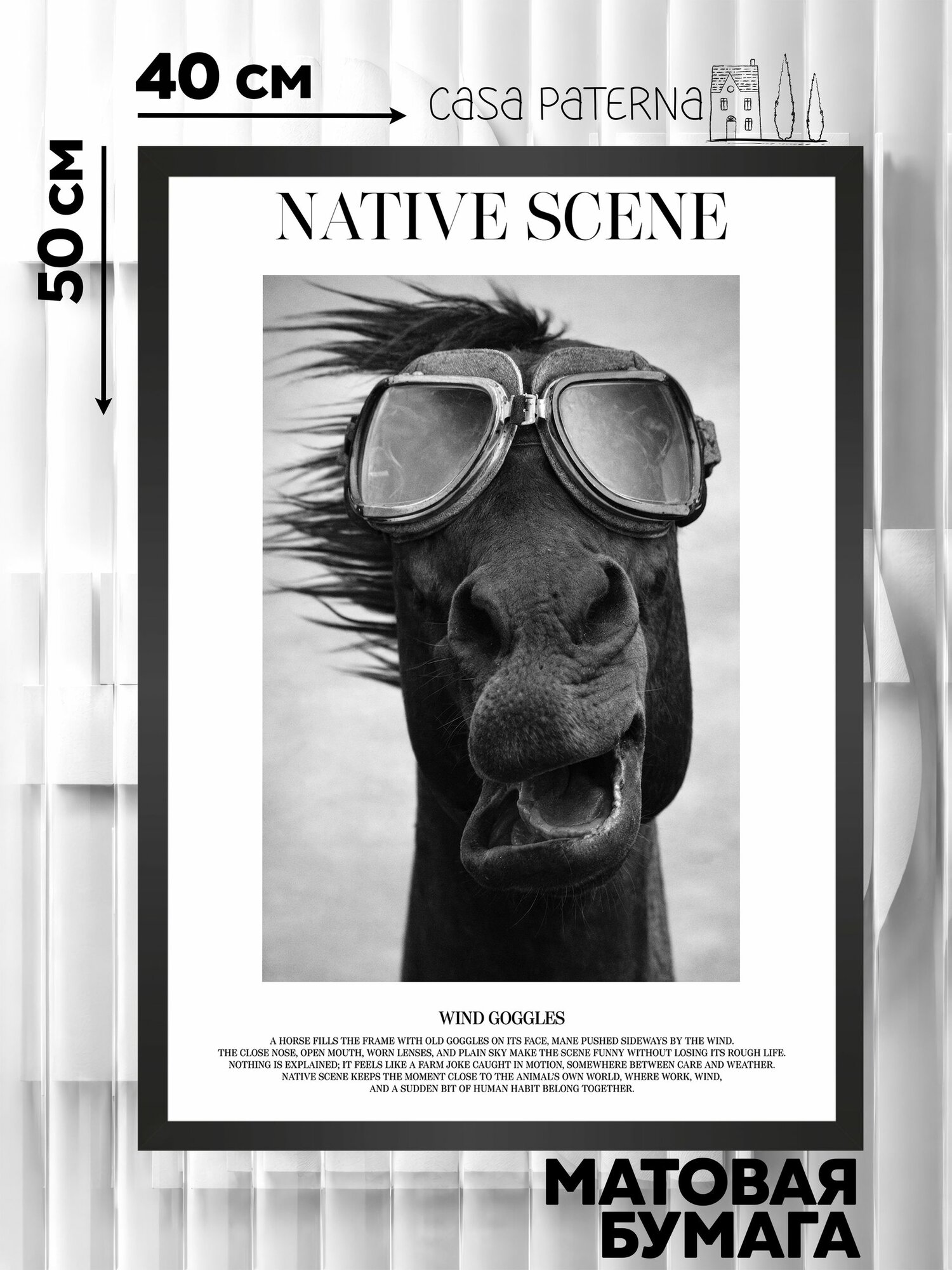 Постер на стену 40х50 Native Scene #14, черно-белая фотография для интерьера, чб без рамки Casa Paterna