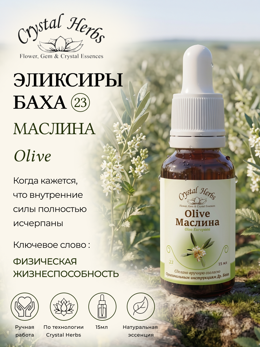 Маслина (Olive) - 15мл - Цветочный Эликсир Баха №23 - безалкогольный