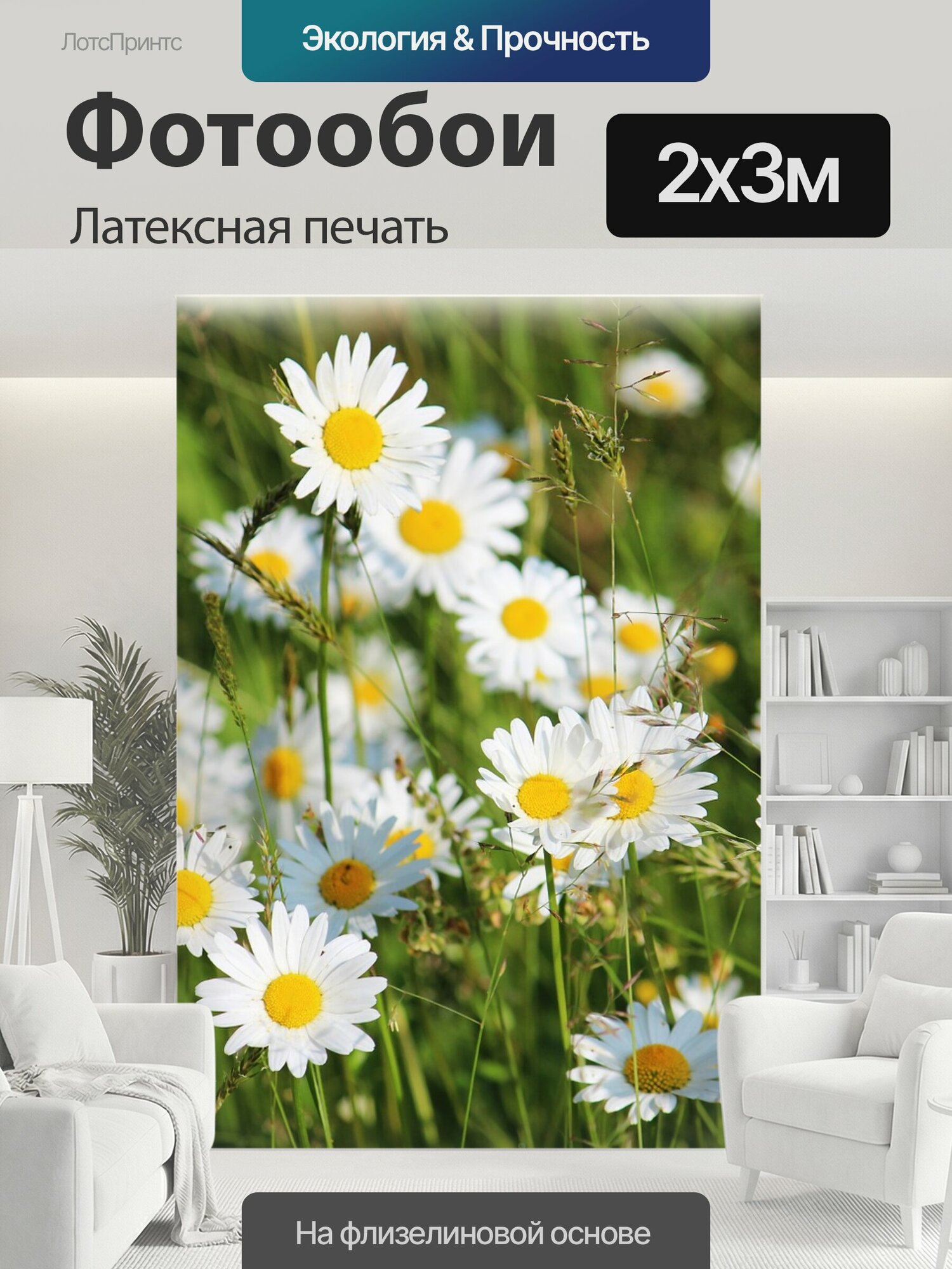 Фотообои моющиеся ударопрочные "Ромашки, луг, белый" 200x300 см. латексная печать