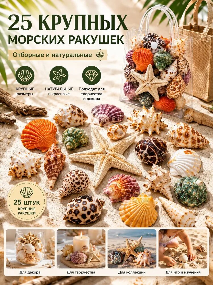 Крупные ракушки для творчества, 25 шт. с морской звездой и сумочкой натуральные морские ракушки для декора, поделок и творчества