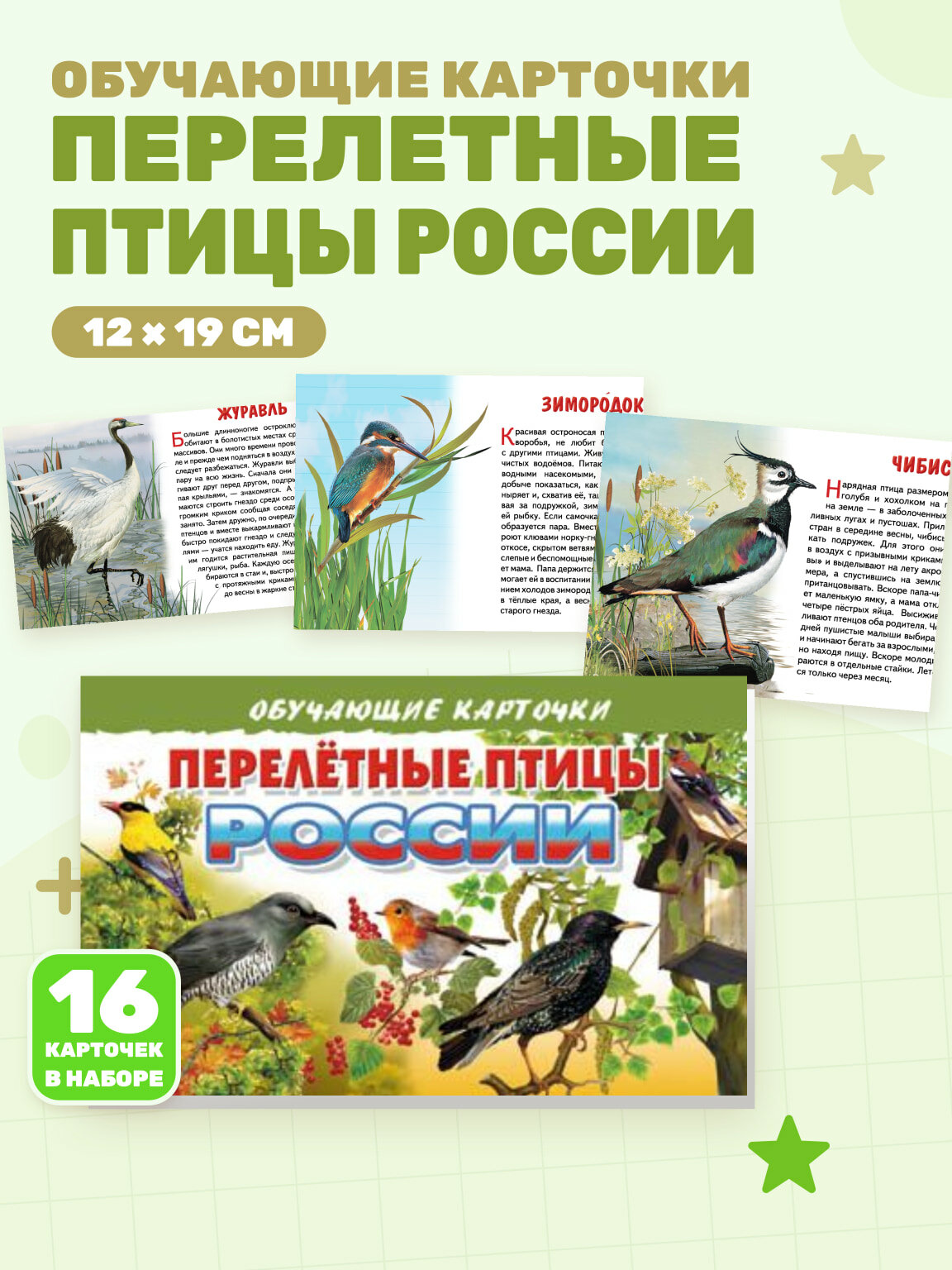 Перелетные птицы России (Обучающие карточки)