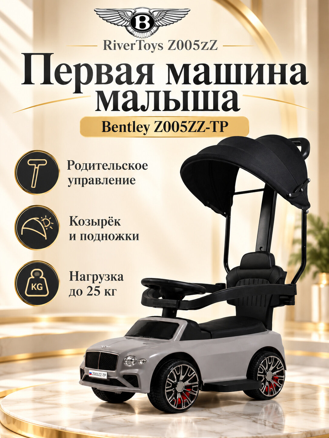 Детский толокар-каталка с козырьком Bentley Z005ZZ-TP серый