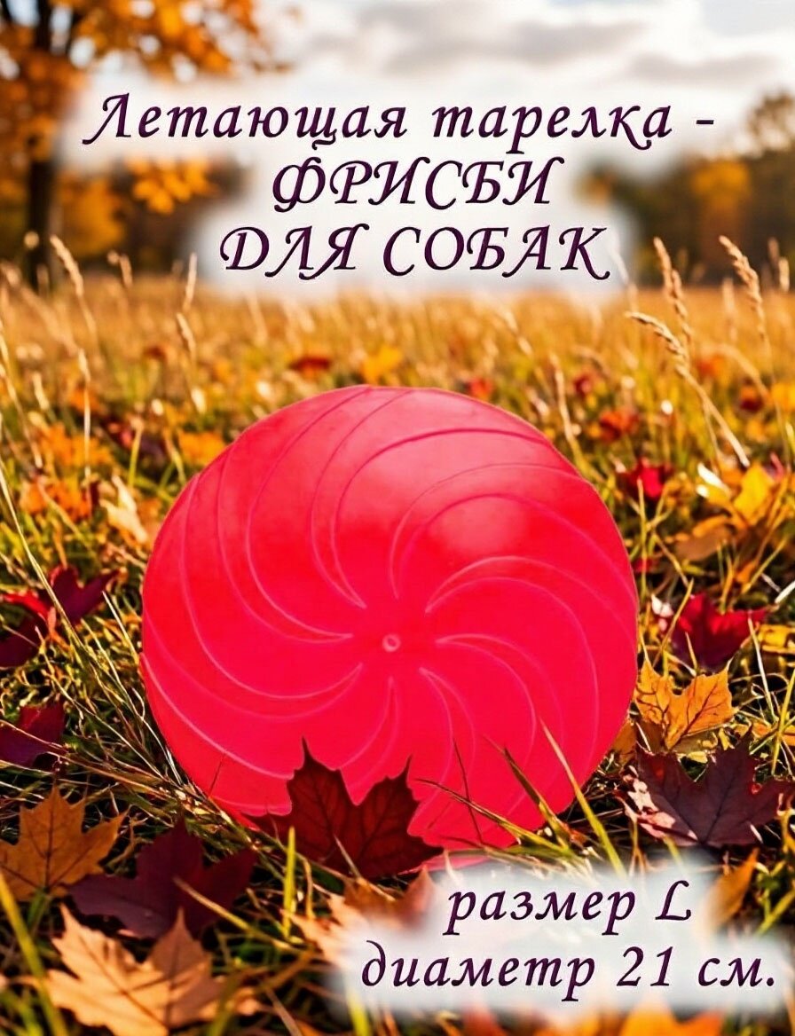 Игрушка-фрисби красная (летающая тарелка) для собак, диаметр 21 см обучение и развлечение
