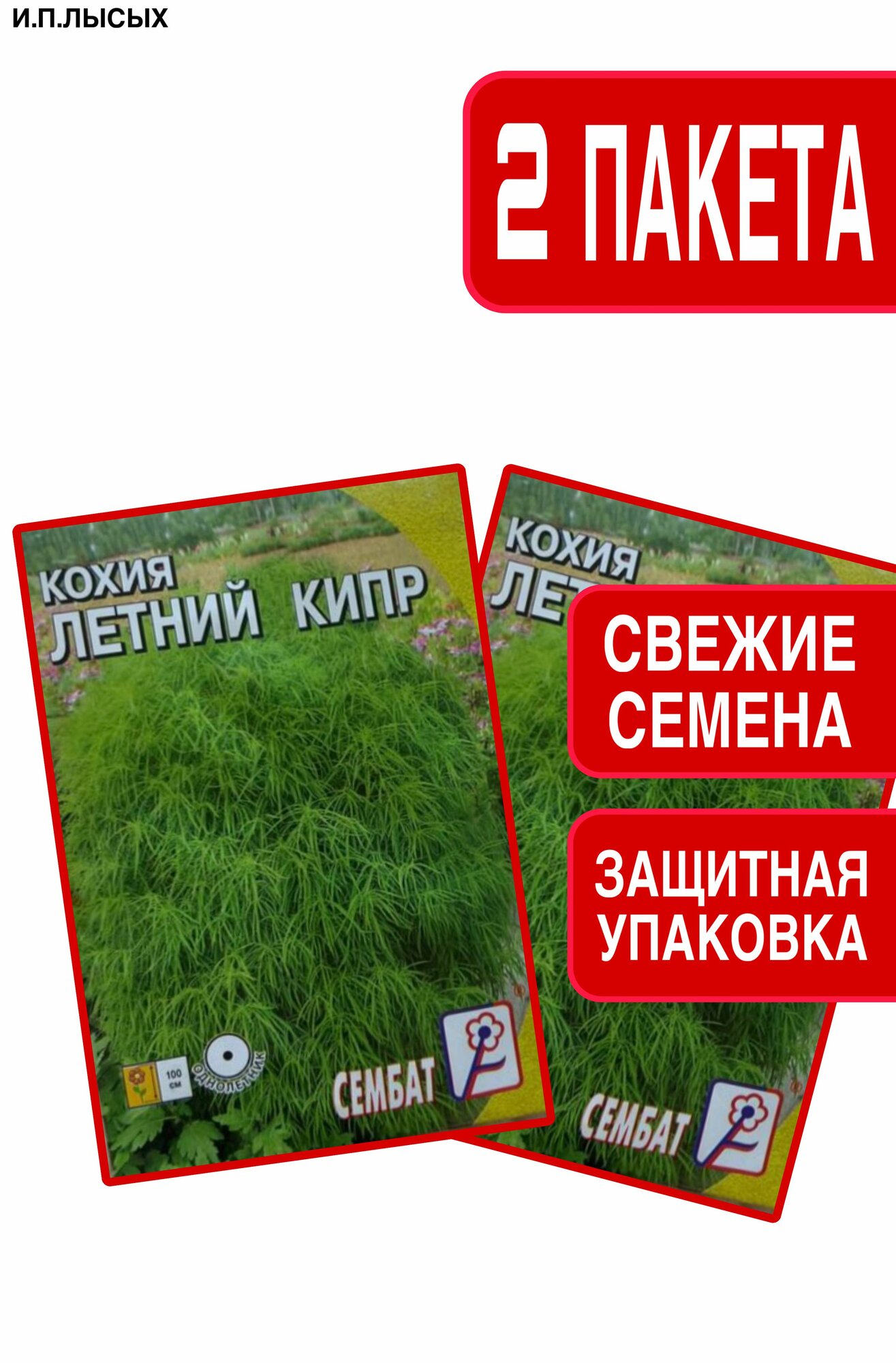 Семена Кохия Летний Кипр