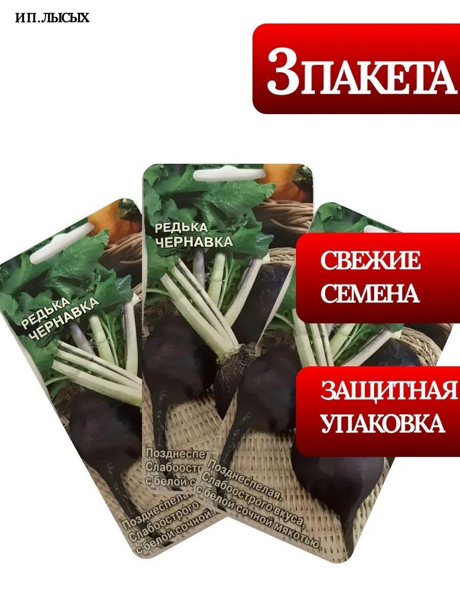 Семена Редька "Чернавка"