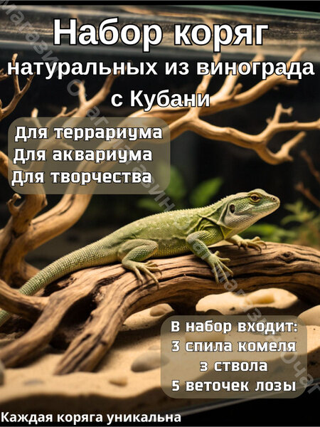 Набор коряг из винограда натуральная декорация для аквариума, террариума. Набор для творчества, палочки, веточки для птиц и грызунов, хобби.
