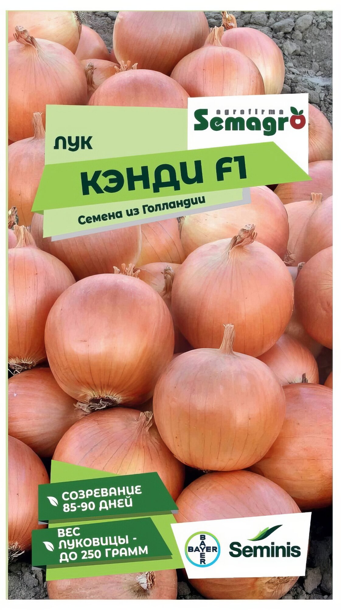 Семена овощей Seminis лук репчатый Кэнди F1