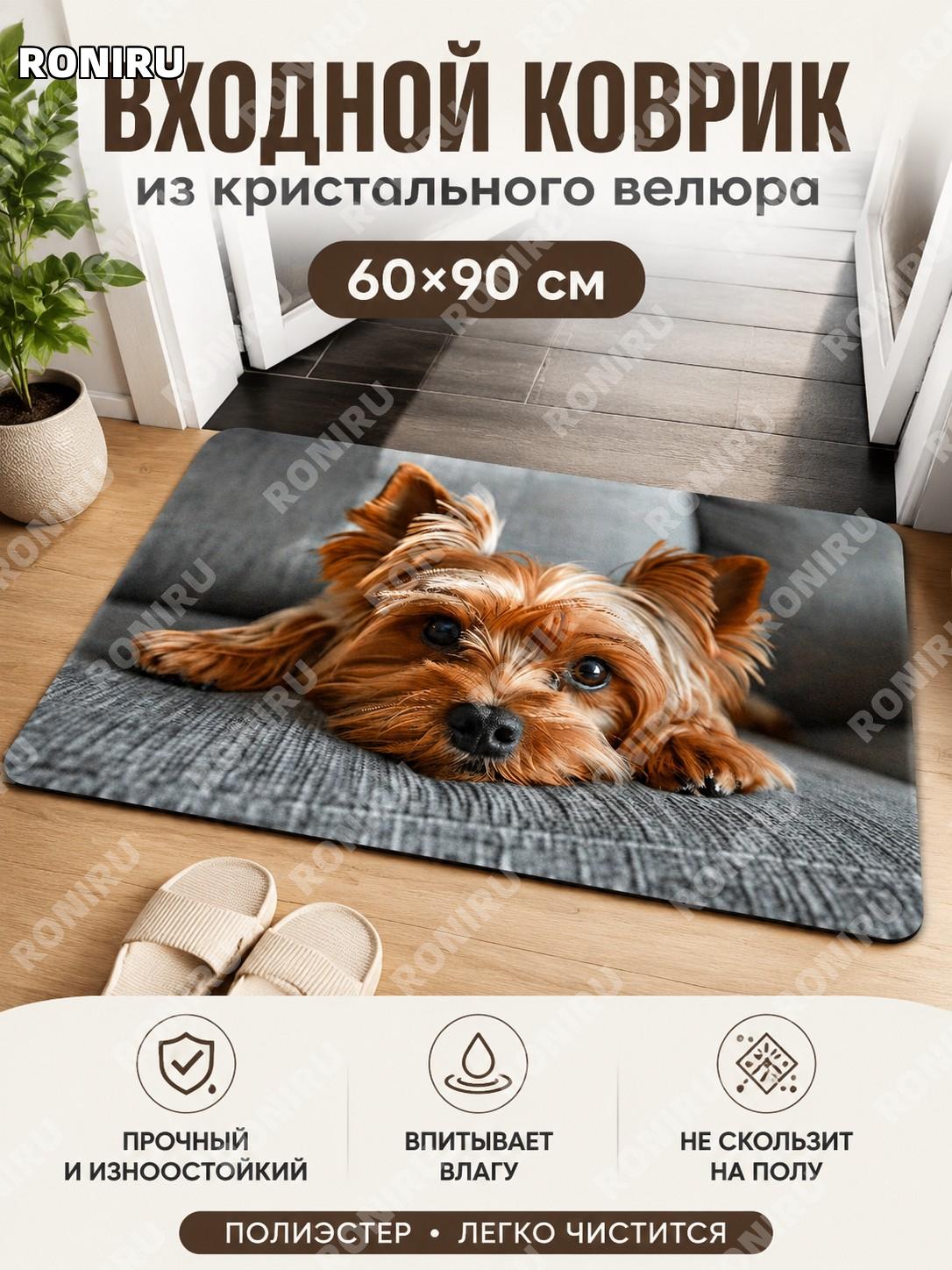 Коврик придверный из хрустящего плюша 60×90 см, стиль 26, с точечным покрытием, полиэстеровый напольный коврик