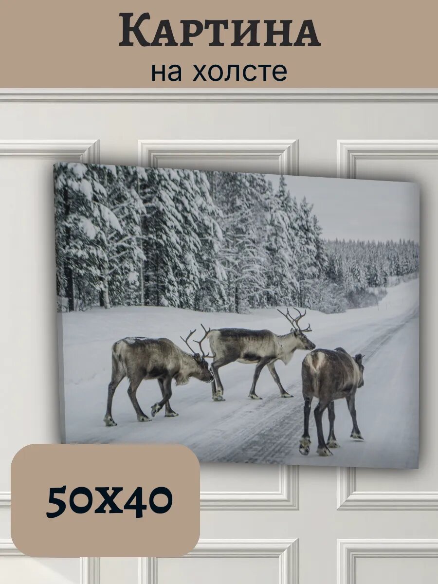 Картина Постер Швеция Sweden 40x50 зимняя природа олени