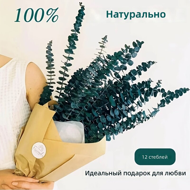 Сушеные ветки эвкалипта синие, 12 шт. для декора дома, свадьбы и рукоделия