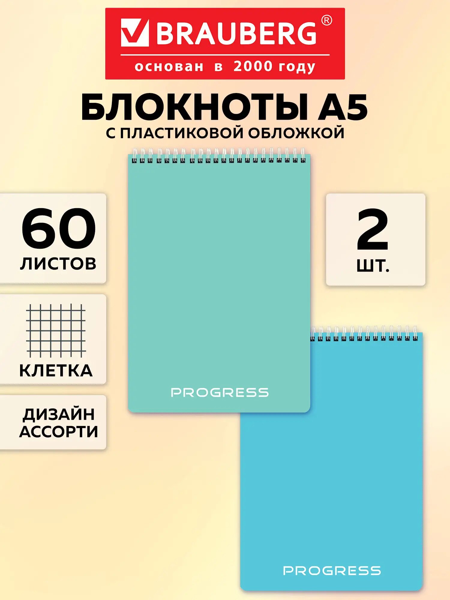 Блокнот для записей А5, тетрадь в клетку 60 листов, записная книжка, пластиковая обложка, 2 шт, Brauberg, 118616