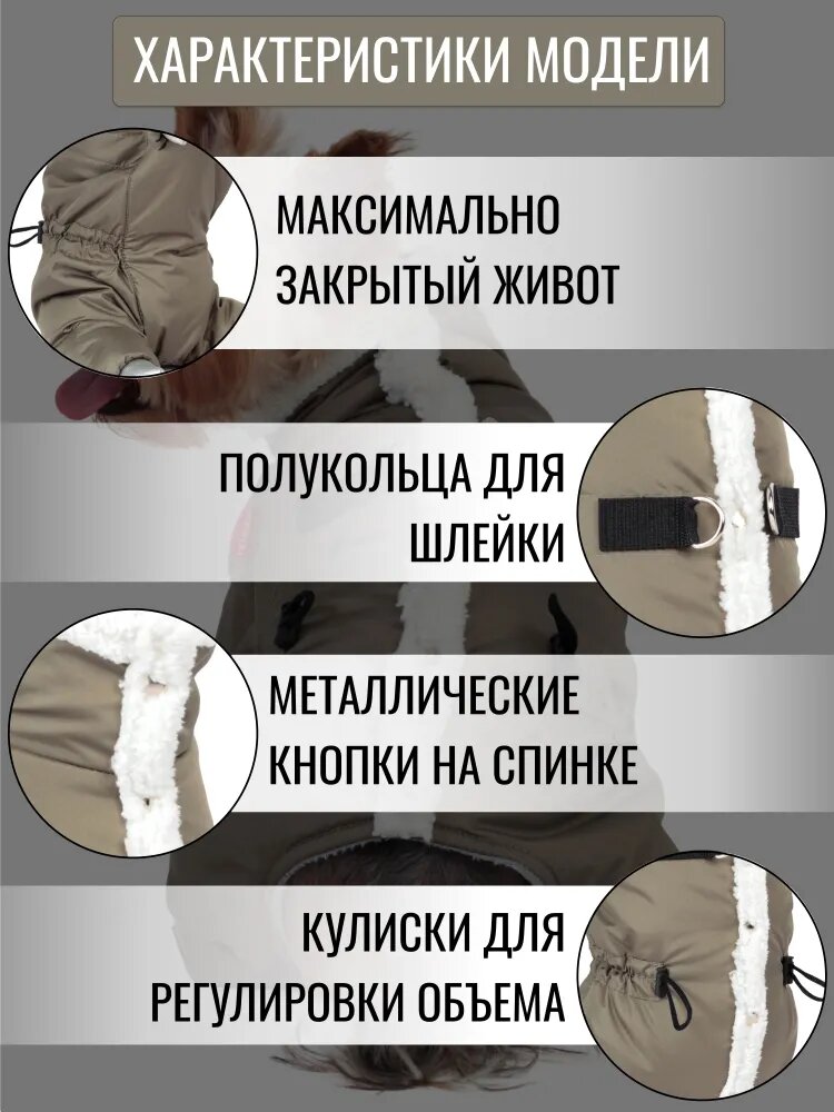 Зимний комбинезон для собак Yoriki «Фисташка» с подкладом, водоотталкивающий, для девочек — фото 1