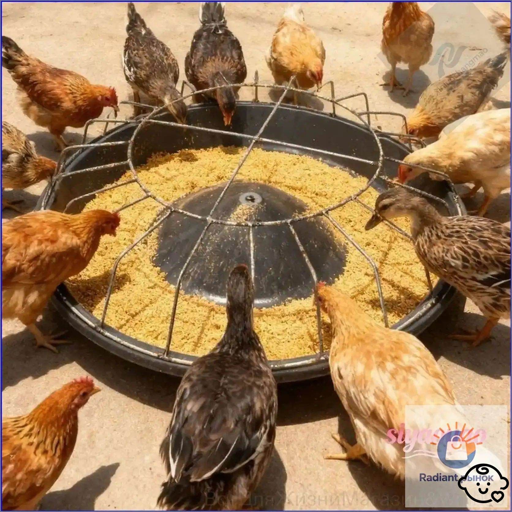 Кормушка бункерная лотковая для кур, птиц, перепелов, цыплят, бройлеров / кормушка, поилка для домашней птицы1pc