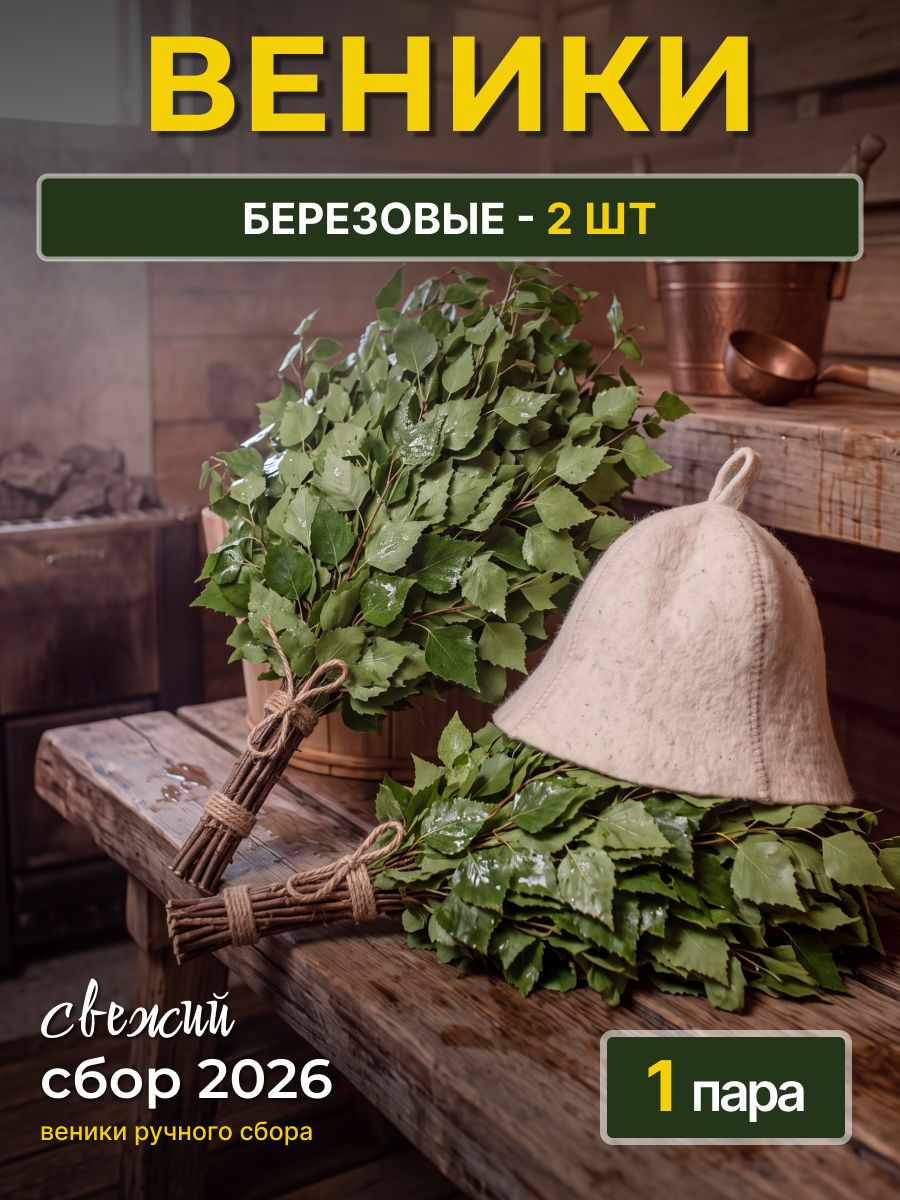 Веник березовый для бани премиальный в коробке, набор 2 шт - 1 пара